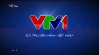 VTV1/Other | Logopedia | Fandom