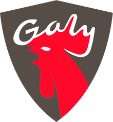 Galy | Logopedia | Fandom