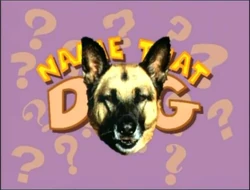 Name That Dog! | Logopedia | Fandom