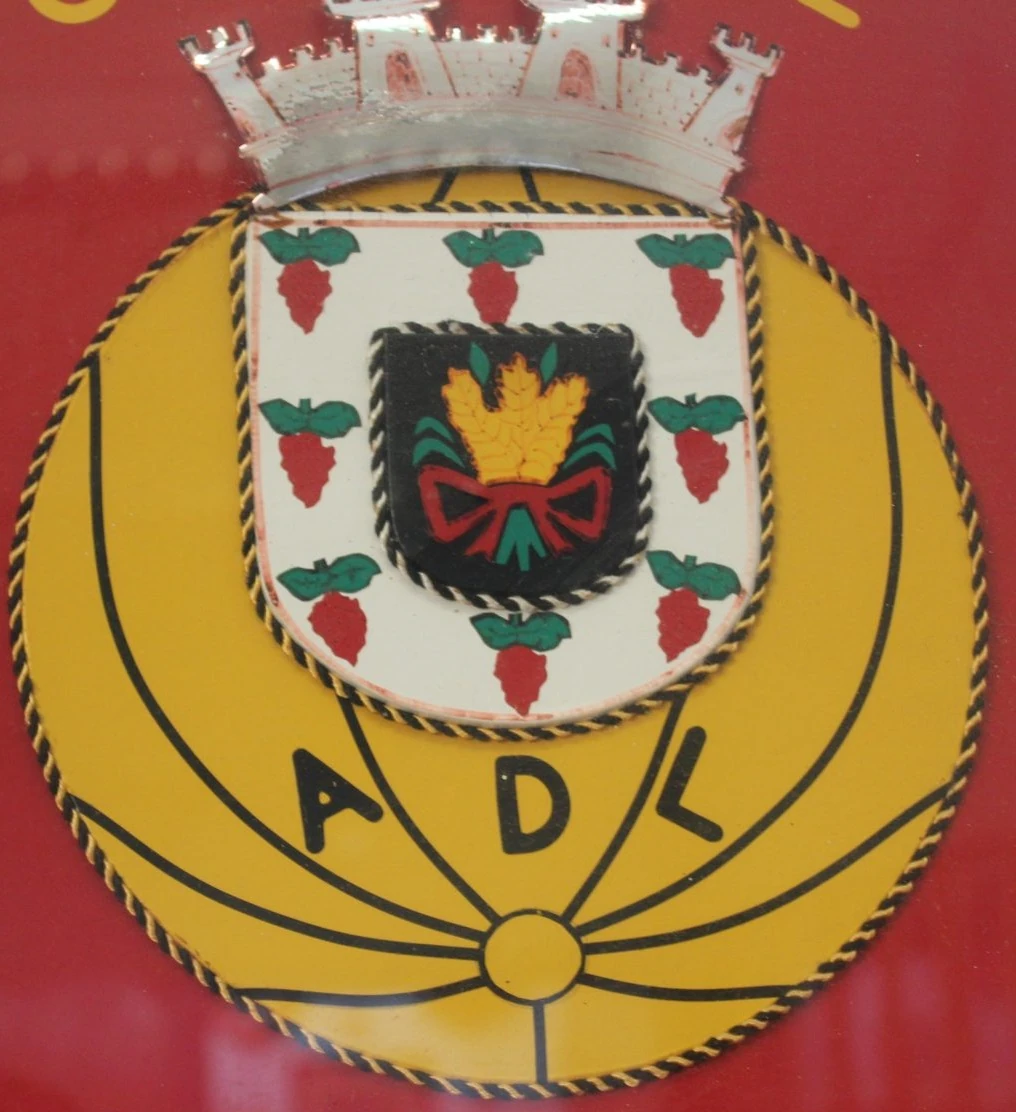 Associação Desportiva de Lousada | Logopedia | Fandom