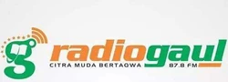 Radio Gaul | Logopedia | Fandom