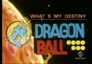 Dragon Ball Z | Logopedia | Fandom