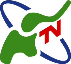 Henan Broadcasting System | Logopedia | Fandom