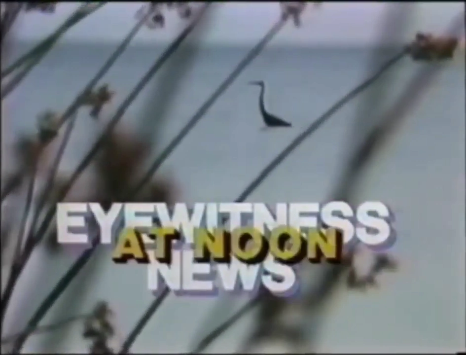 WBBH-TV/News | Logopedia | Fandom