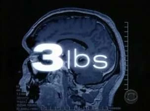 3lbs | Logopedia | Fandom