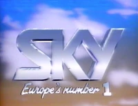 Sky One/Other | Logopedia | Fandom