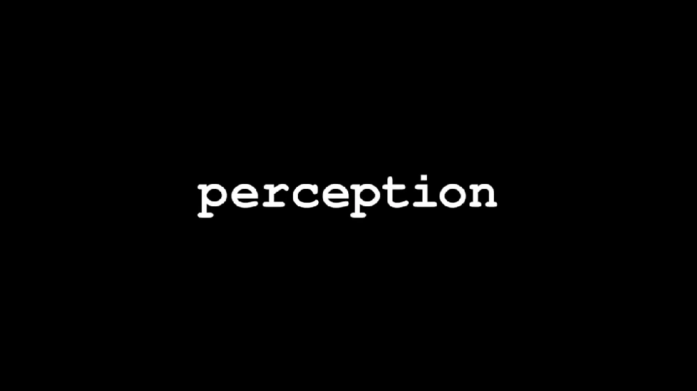 Perception | Logopedia | Fandom