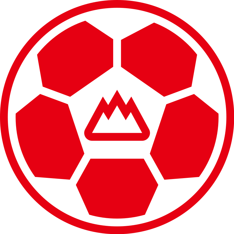 Shandong Taishan F.C. | Logopedia | Fandom