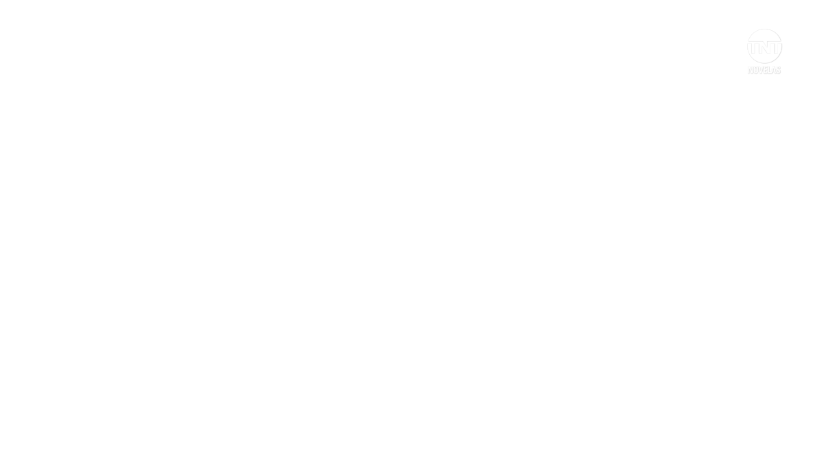 TNT Novelas (Latinoamérica)/Logos moscas en pantalla | Logopedia | Fandom