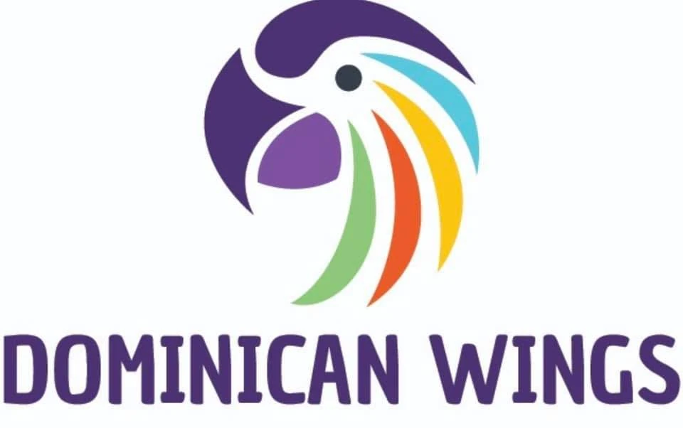 Arajet | Logopedia | Fandom