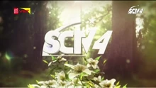 SCTV4/Other | Logopedia | Fandom