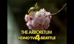 KOMO-TV | Logopedia | Fandom