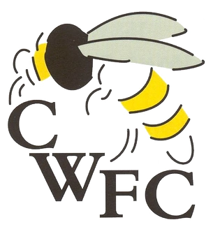 Chalfont Wasps | Logopedia | Fandom