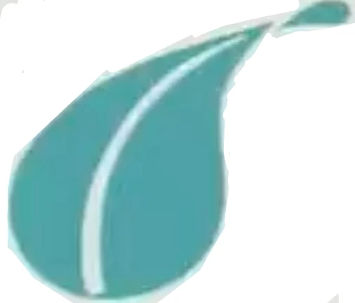 Splash Corporation | Logopedia | Fandom