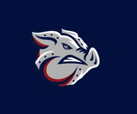 Lehigh Valley IronPigs | Logopedia | Fandom