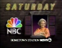 WSVN/Other | Logopedia | Fandom