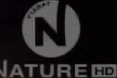 Diema Sport Logopedia The Logo And Branding Site FightKlub | Logopedia