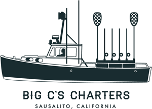 Big C Charters | Logopedia | Fandom