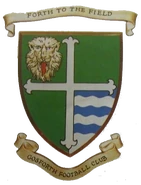 Newcastle Red Bulls | Logopedia | Fandom