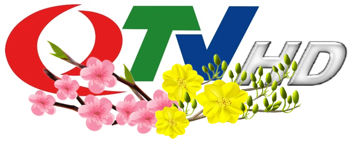 QTV HD/Logo Tết | Wikia Logos | Fandom