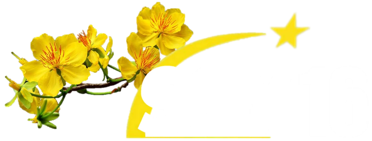 SCTV16/Logo Tết | Wikia Logos | Fandom