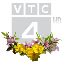 VTC4/Logo Tết | Wikia Logos | Fandom
