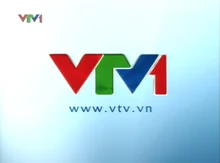 VTV1/Other | Wikia Logos | Fandom