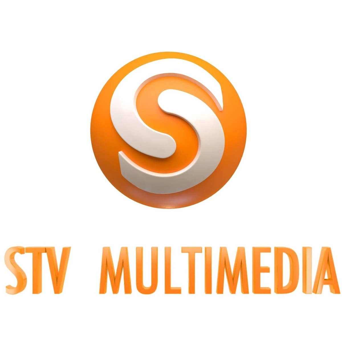 STV Multimedia | Wikia Logos | Fandom