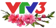 VTV3/Logo Tết | Wikia Logos | Fandom