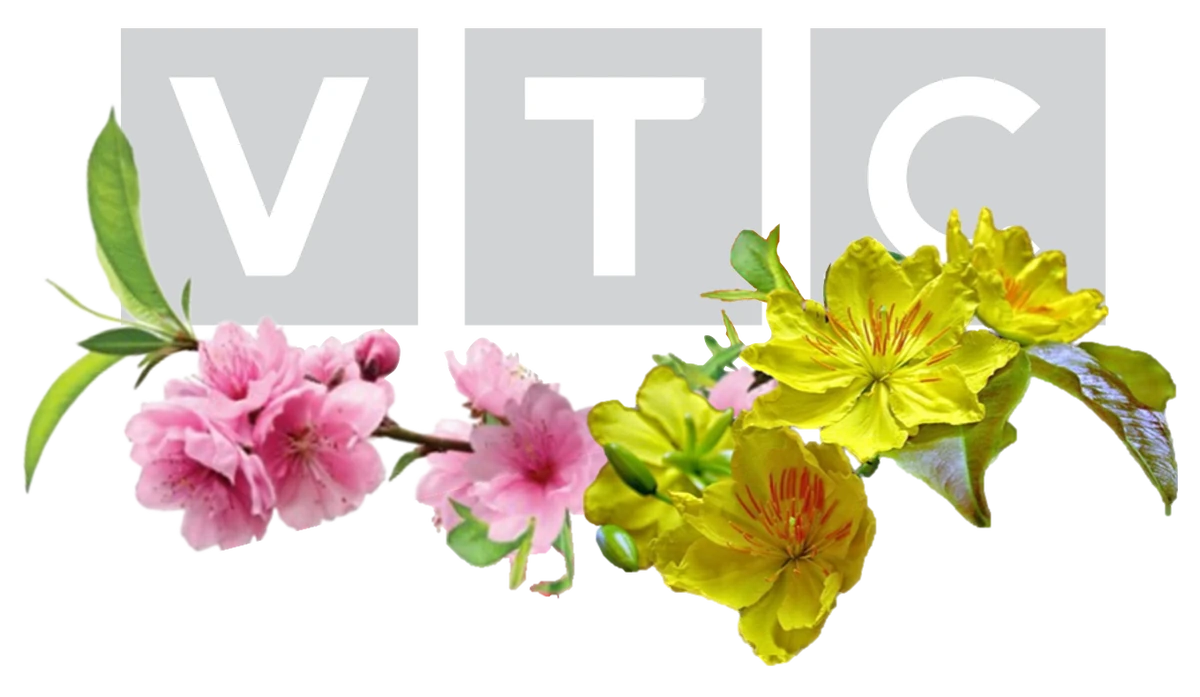 Đài Truyền hình Kỹ thuật số VTC/Logo Tết | Wikia Logos | Fandom
