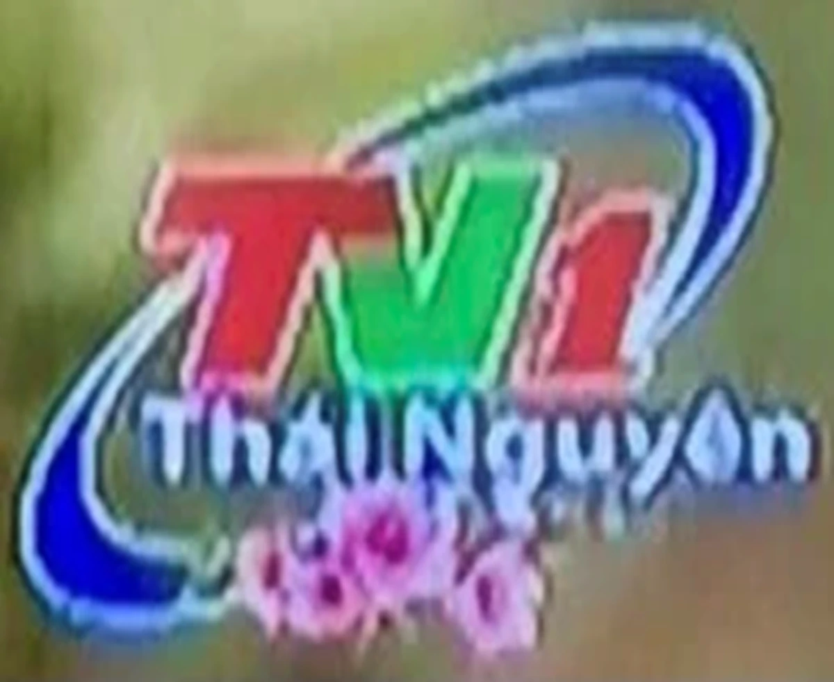 Báo và PT-TH Thái Nguyên (kênh truyền hình)/Logo Tết | Wikia Logos | Fandom