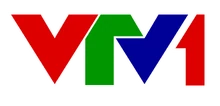 VTV1 | Wikia Logos | Fandom