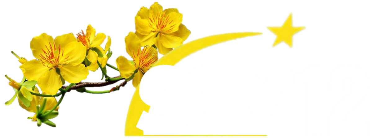 SCTV12/Logo Tết | Wikia Logos | Fandom
