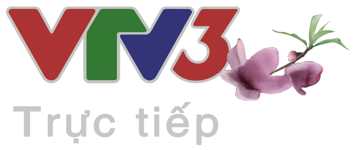 VTV3/Logo Tết Trực tiếp | Wikia Logos | Fandom