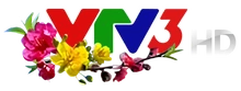 VTV3 HD/Logo Tết | Wikia Logos | Fandom