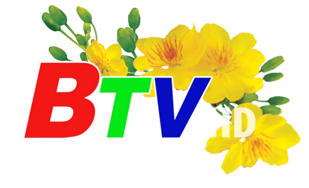 BTV HD (Bình Dương)/Logo Tết | Wikia Logos | Fandom