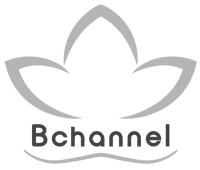 BTV9 - Bchannel | Wikia Logos | Fandom