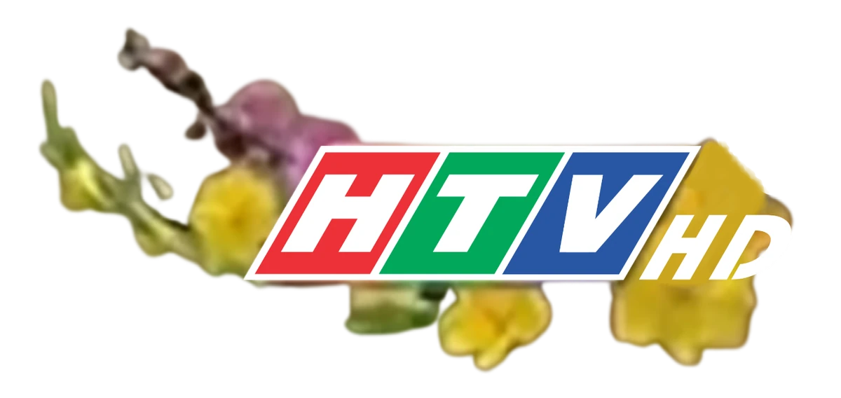 HTV HD/Logo Tết | Wikia Logos | Fandom