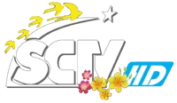 SCTV HD/Logo Tết | Wikia Logos | Fandom