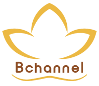 BTV9 - Bchannel | Wikia Logos | Fandom