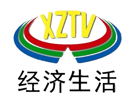 XZTV 经济生活 | Wikia Logos | Fandom