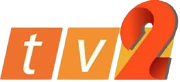 RTM TV2 | Wikia Logos | Fandom