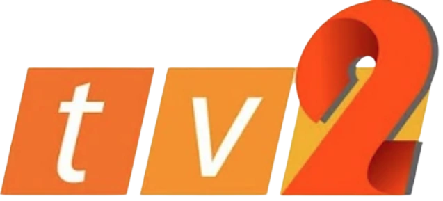 RTM TV2 | Wikia Logos | Fandom