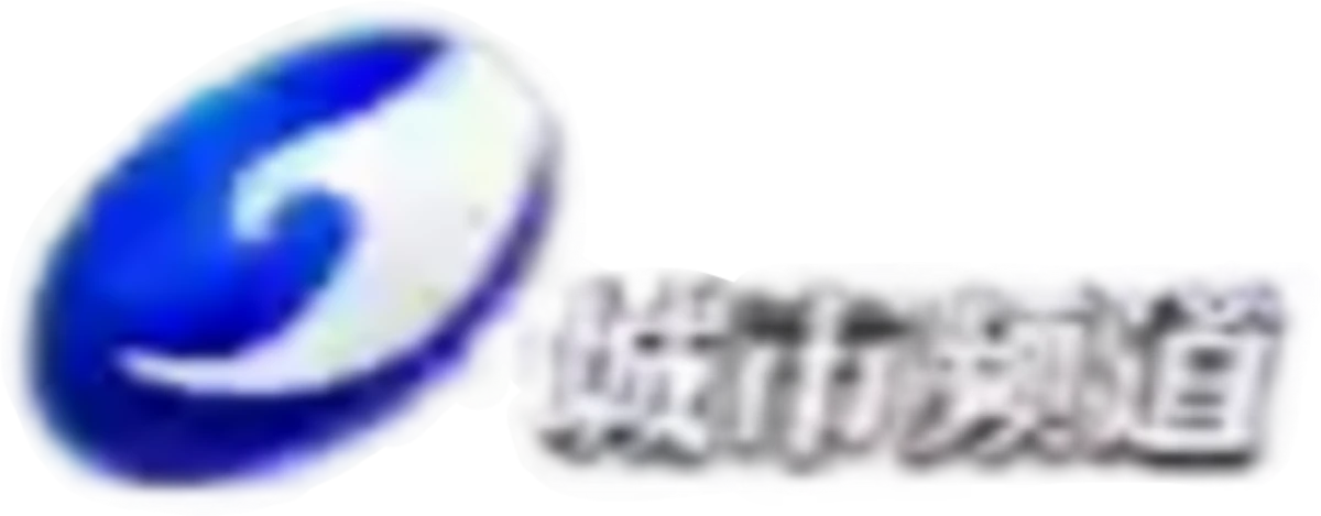 平顶山城市频道 | Wikia Logos | Fandom