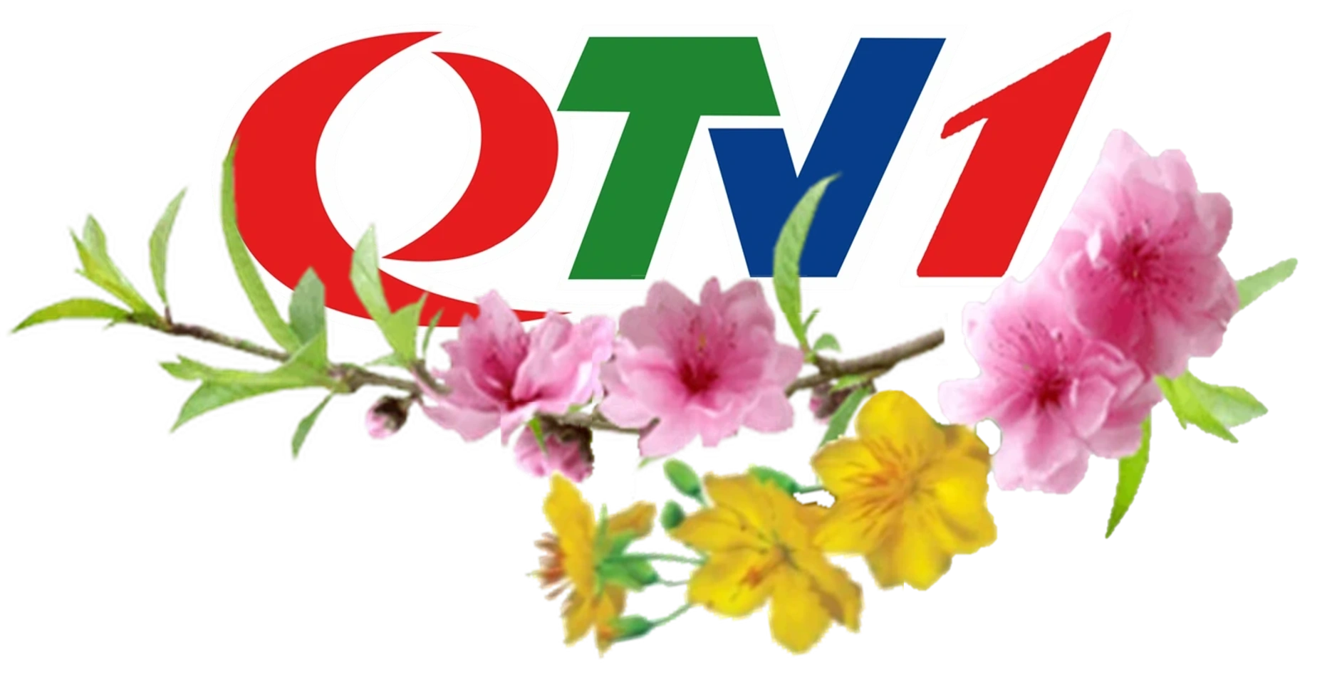 QTV1/Logo Tết | Wikia Logos | Fandom