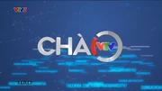 Chào chấm VTV | Wikia Logos | Fandom