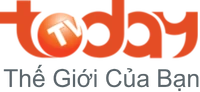 VTC7 - TodayTV | Wikia Logos | Fandom