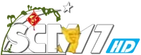 SCTV17 HD/Logo Tết | Wikia Logos | Fandom