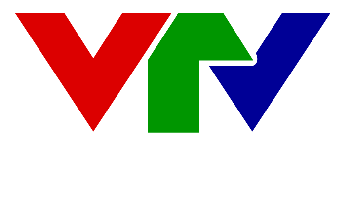 VTV Hue (cũ) | Wikia Logos | Fandom