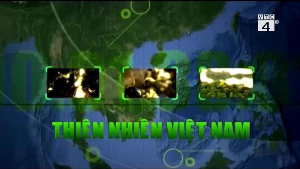 Thiên nhiên Việt Nam | Wikia Logos | Fandom